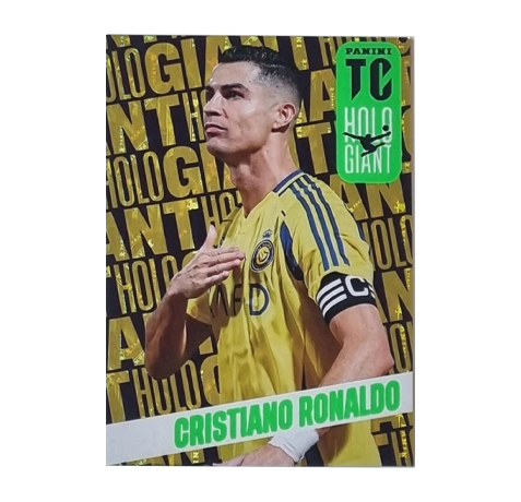 Panini Top Class Trading Cards 2025 / Holo Giant Karten - Sticker-und-Co.de